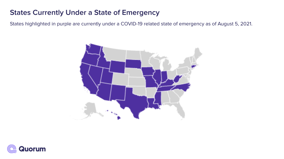 State Governors and the Expansion of Executive Power During the COVID ...
